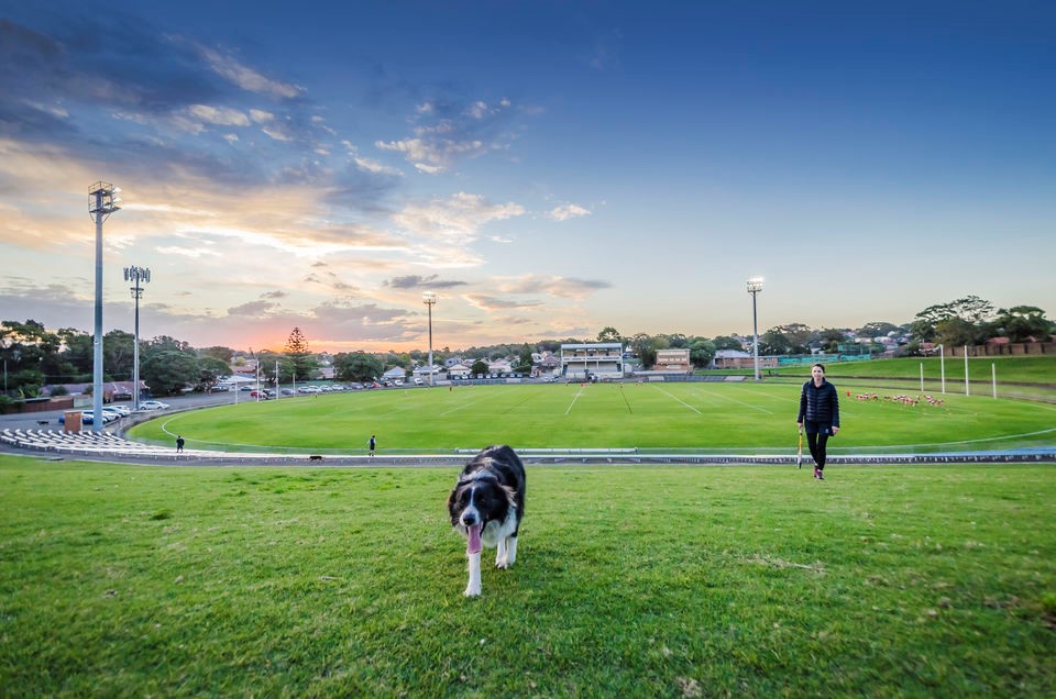 Henson Park lighting trial | Your Say Inner West