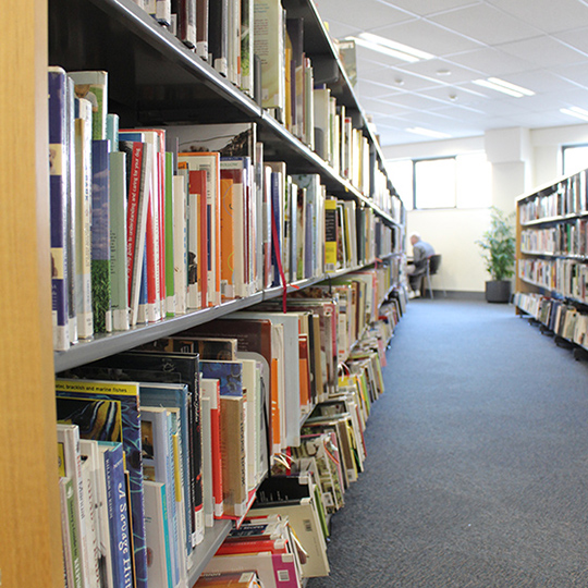 New Library Operating Hours | Your Say Inner West