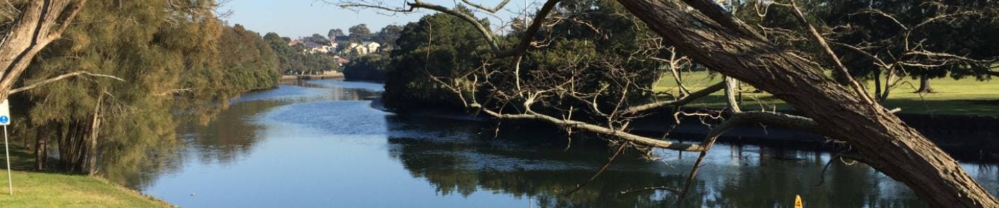 Cooks River community values survey | Your Say Inner West