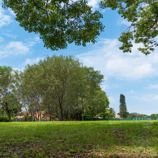 Design your new play space - Lewis Herman Reserve, Ashfield | Your Say ...