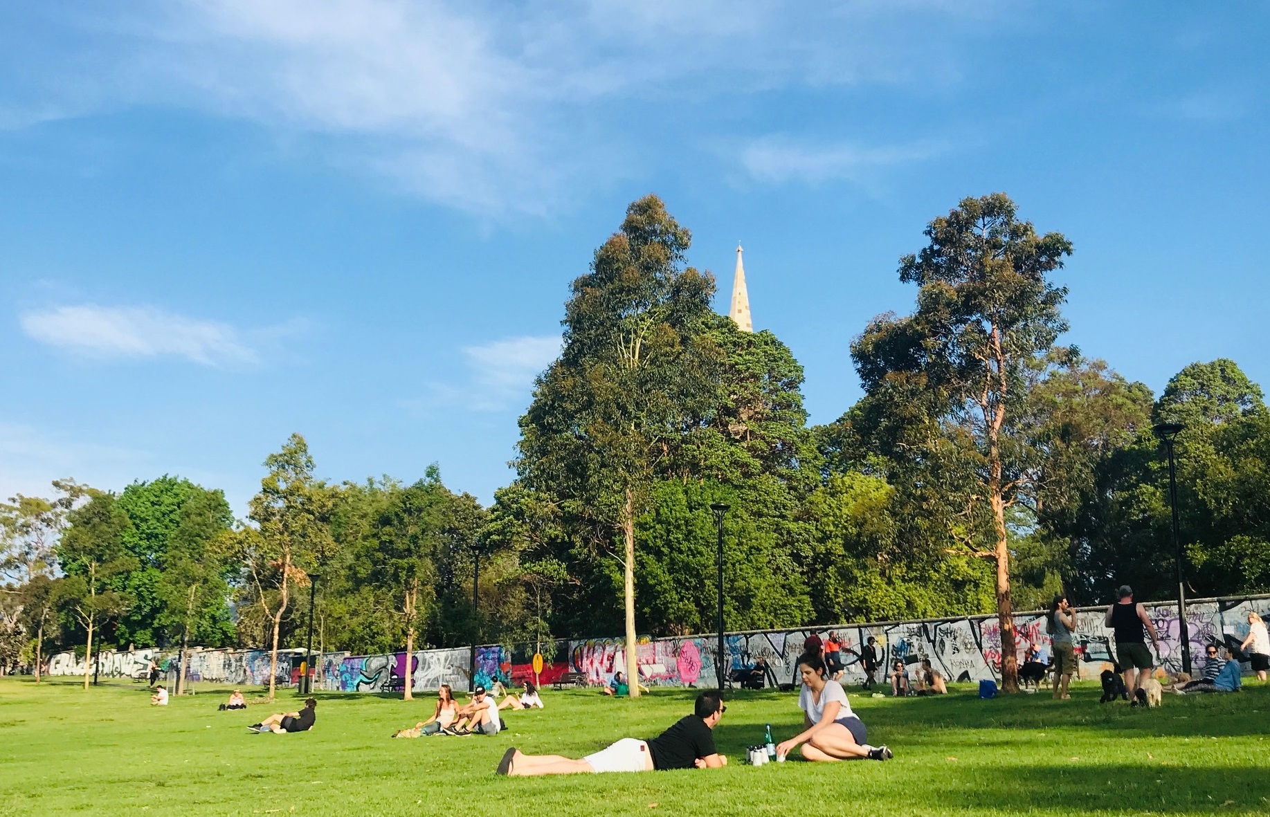 Planning for Camperdown Memorial Rest Park | Your Say Inner West